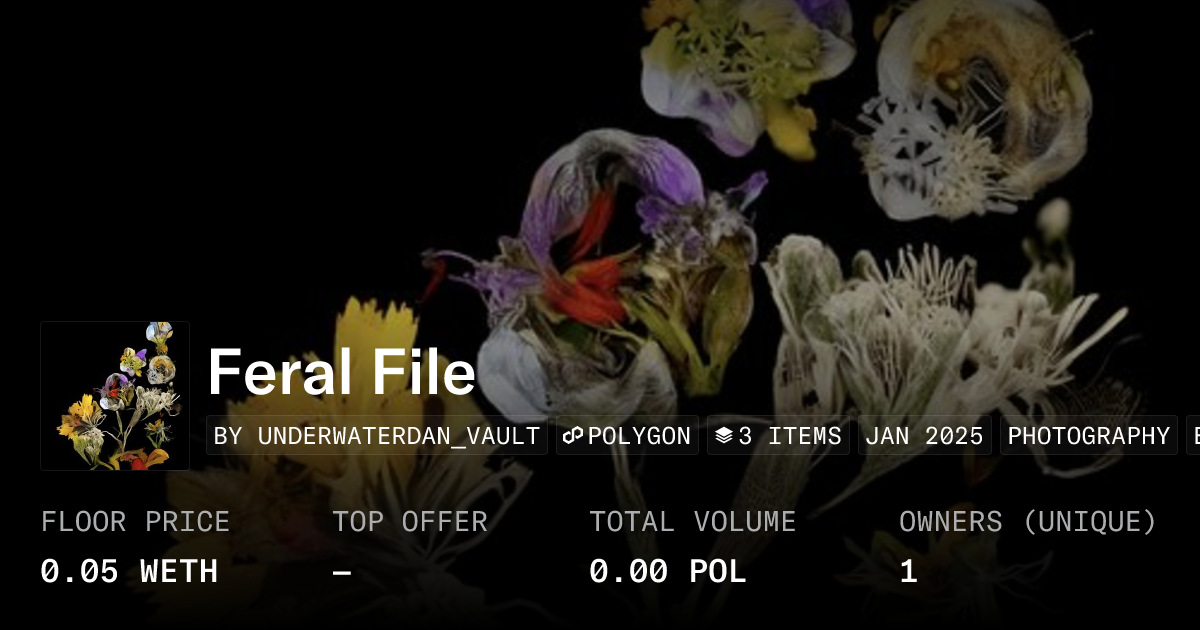 Feral File - Collection | OpenSea