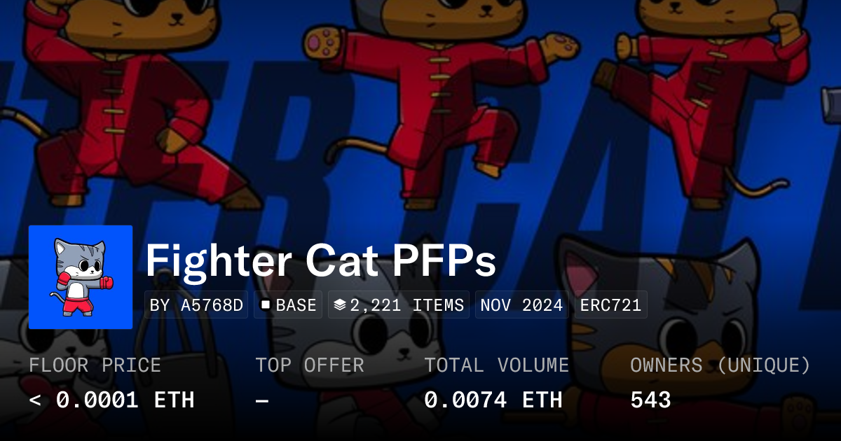 Fighter Cat PFPs - Collection | OpenSea