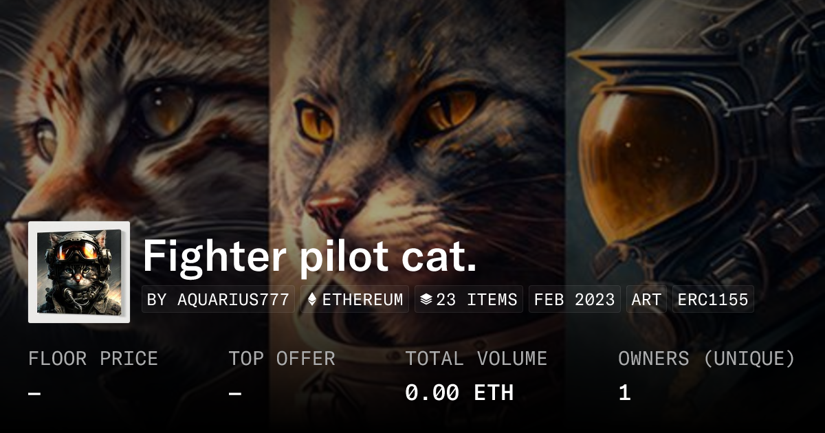 Fighter pilot cat. - Collection | OpenSea