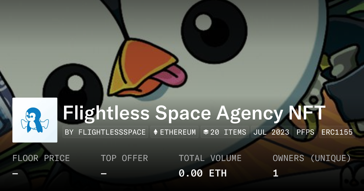 Flightless Space Agency NFT - Collection | OpenSea