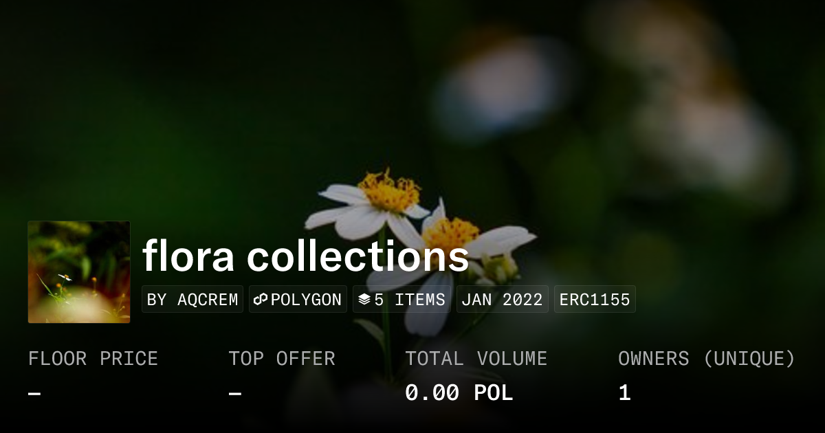 opengraph-image?ts=29195558