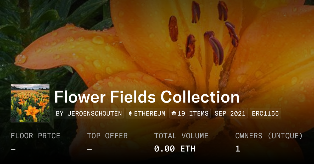 Flower Fields Collection - Collection | OpenSea