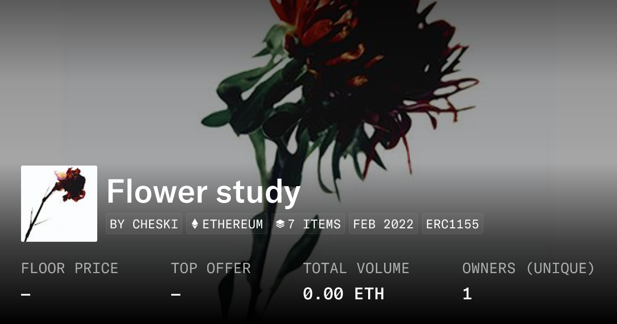 Flower study - Collection | OpenSea