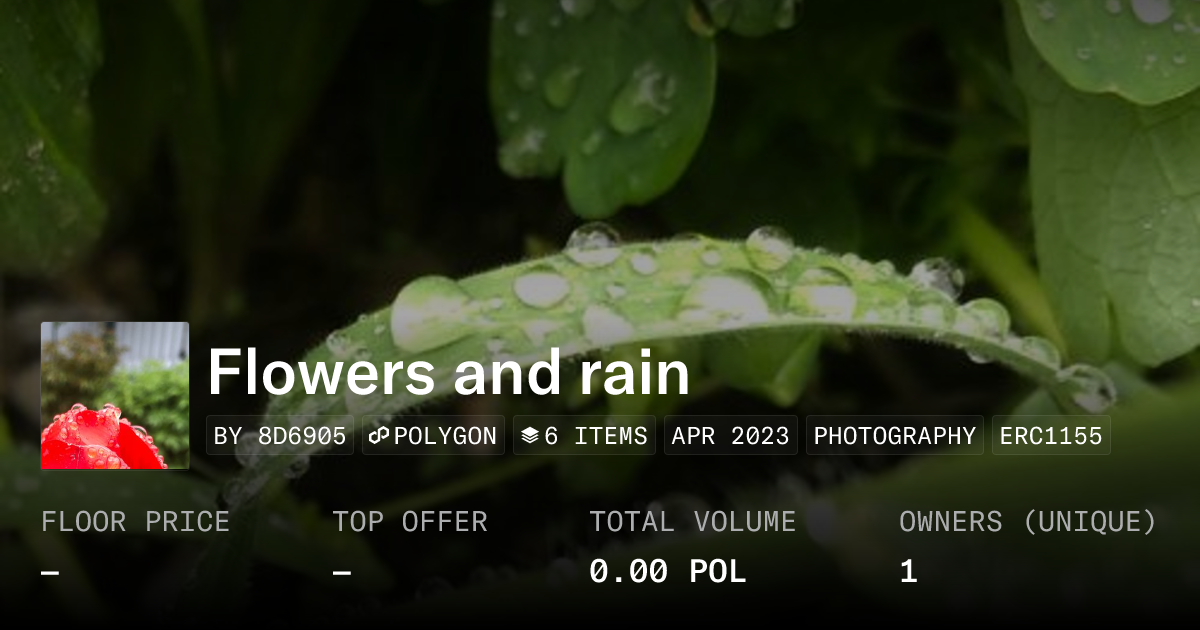 Flowers and rain - Collection | OpenSea
