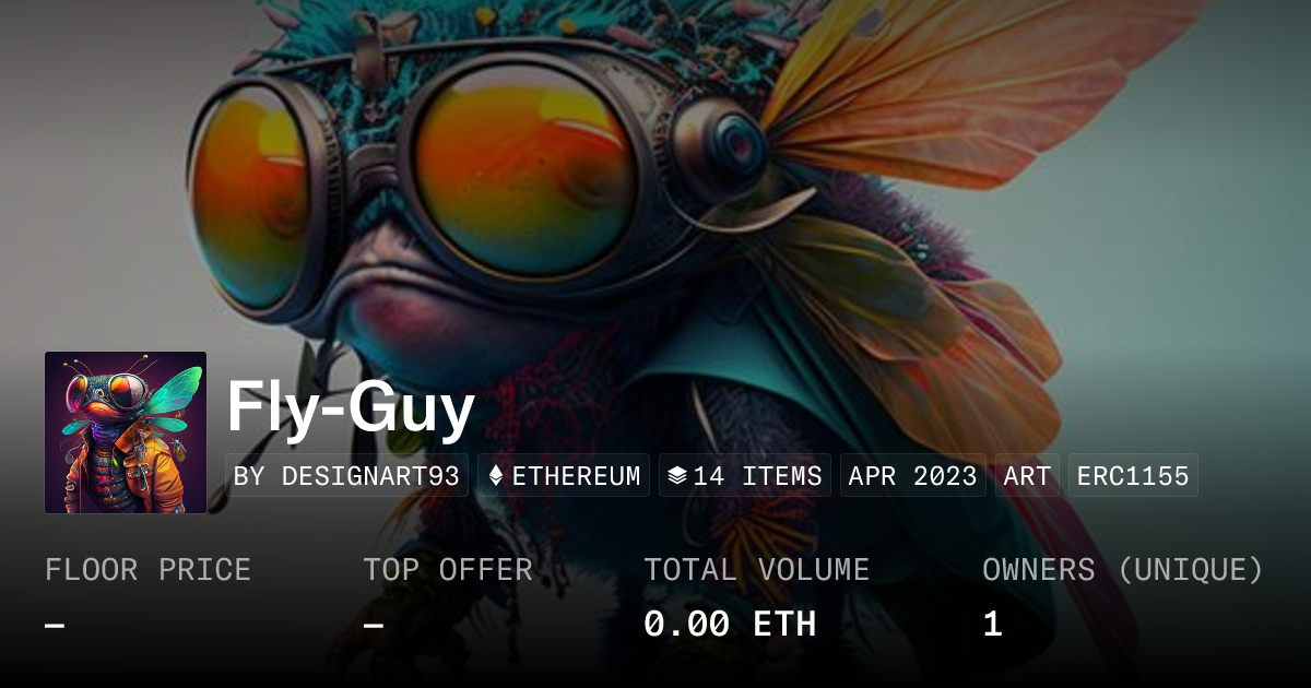 Fly-Guy - Collection | OpenSea