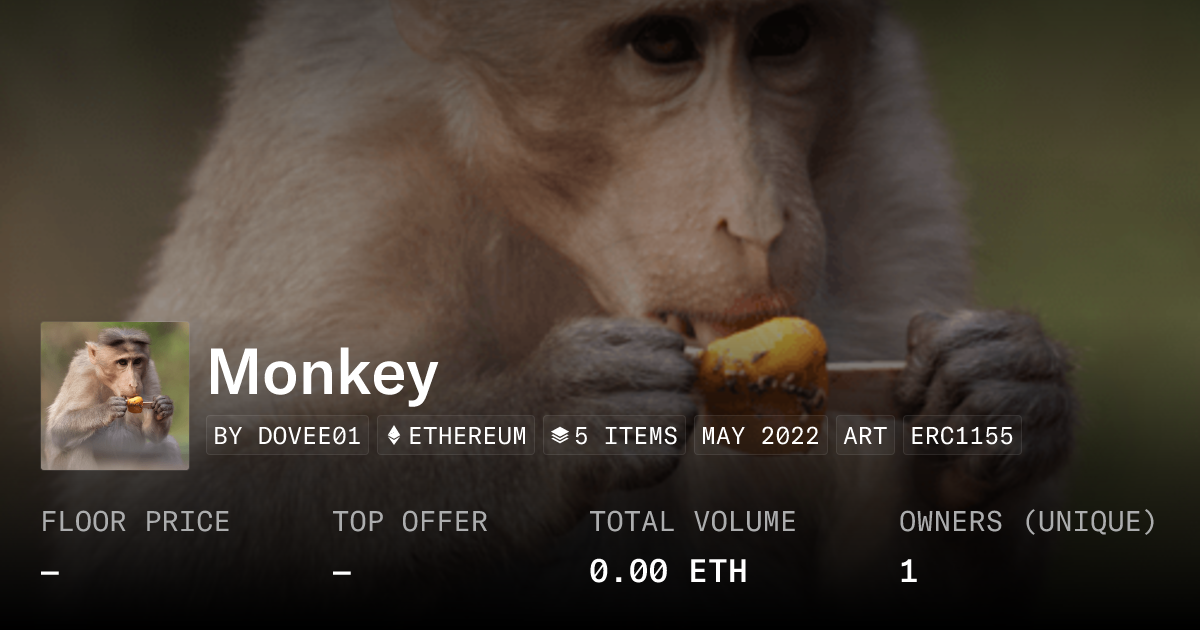 opengraph-image?ts=29174257