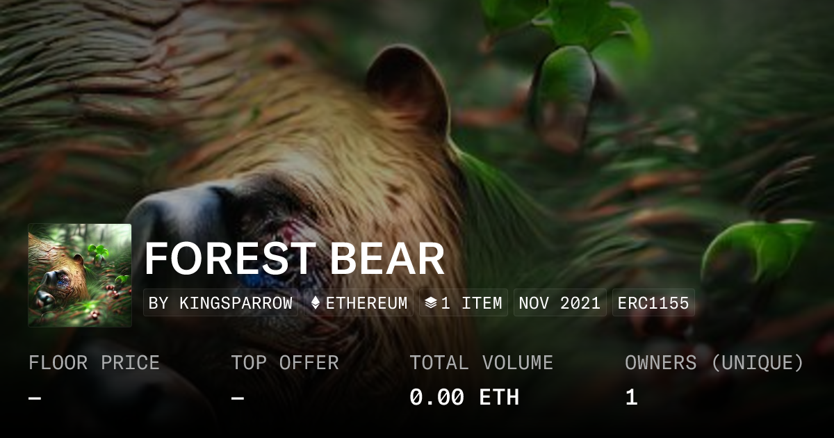 FOREST BEAR - Collection | OpenSea