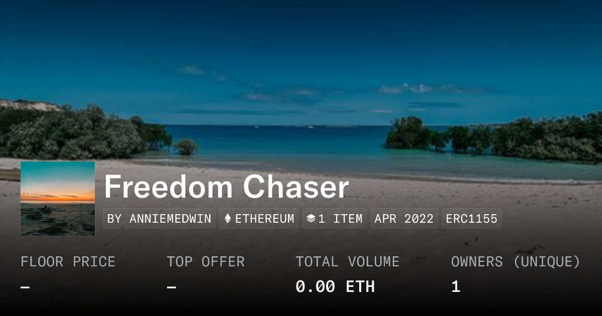 Freedom Chaser - Collection | OpenSea