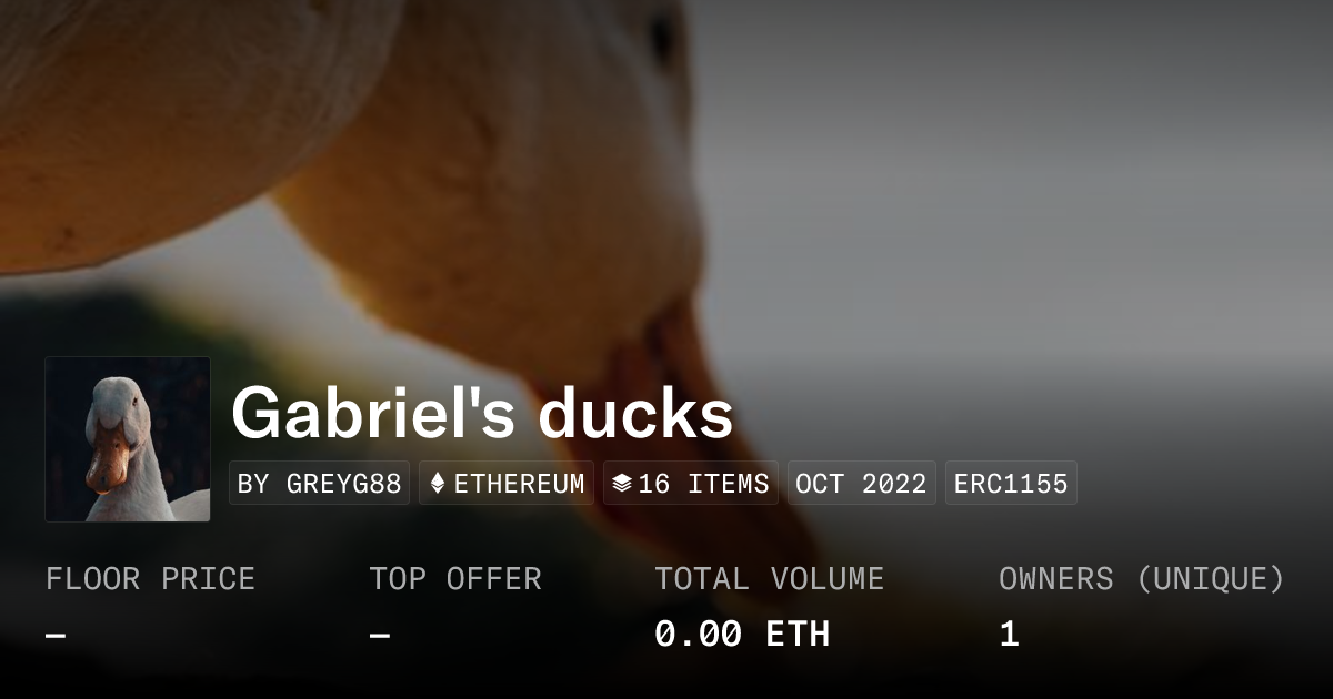 Gabriel's ducks - Collection | OpenSea