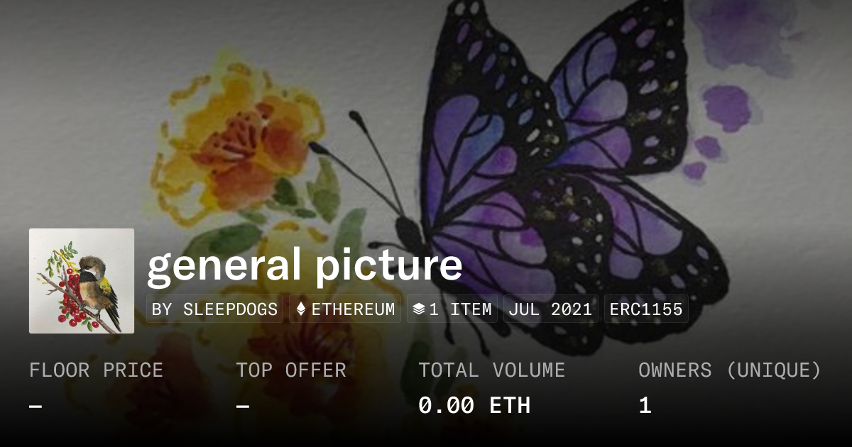 general picture - Collection | OpenSea
