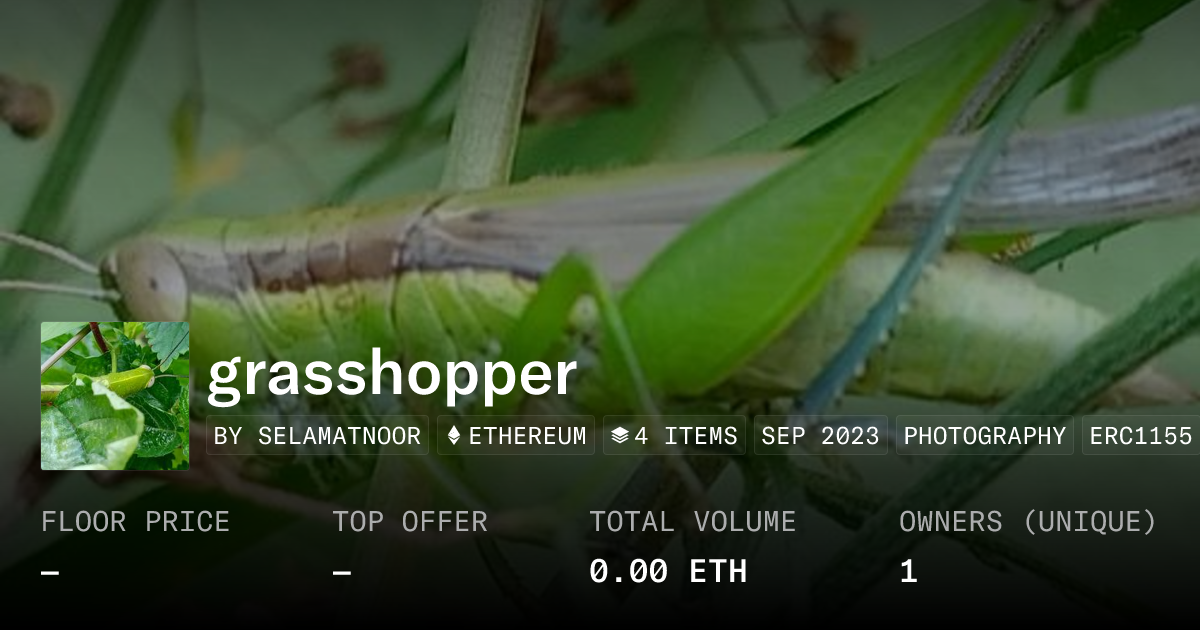 opengraph-image?ts=29194895