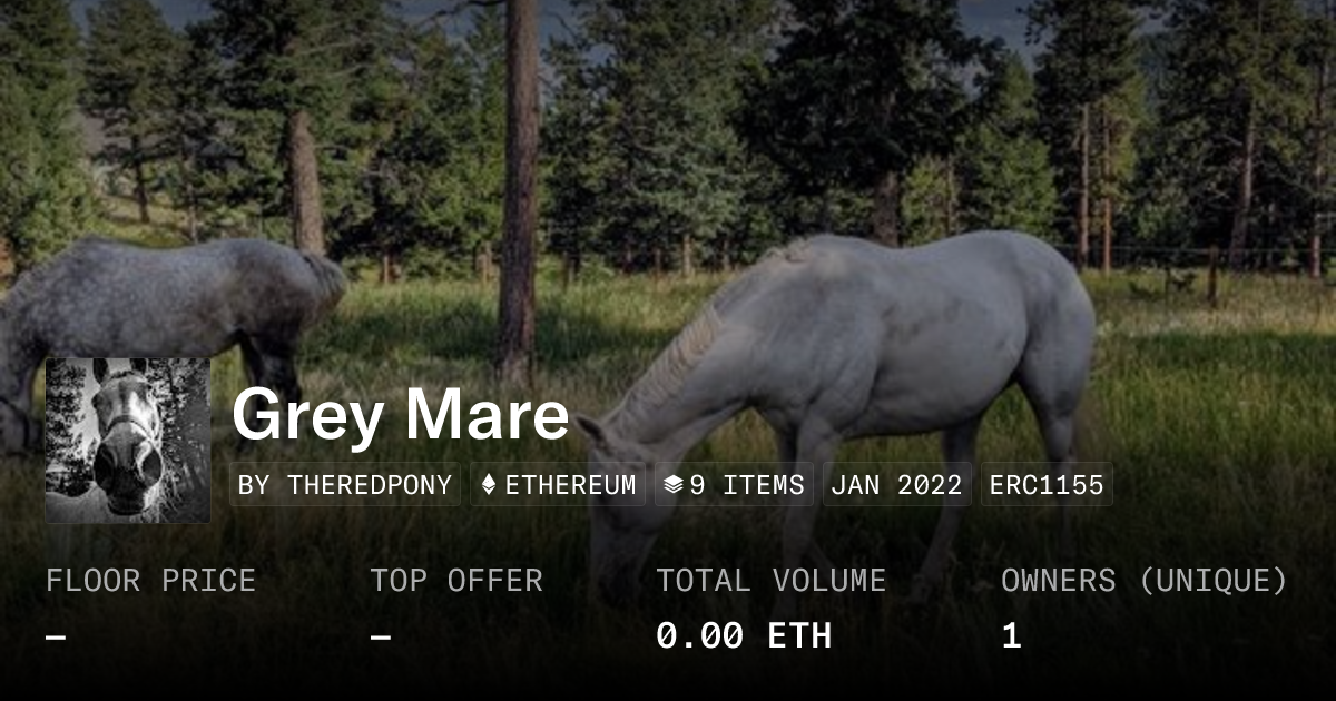 opengraph-image?ts=29184031