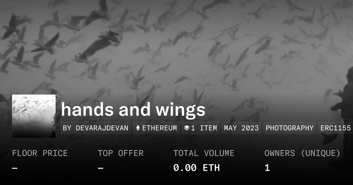 hands and wings - Collection | OpenSea