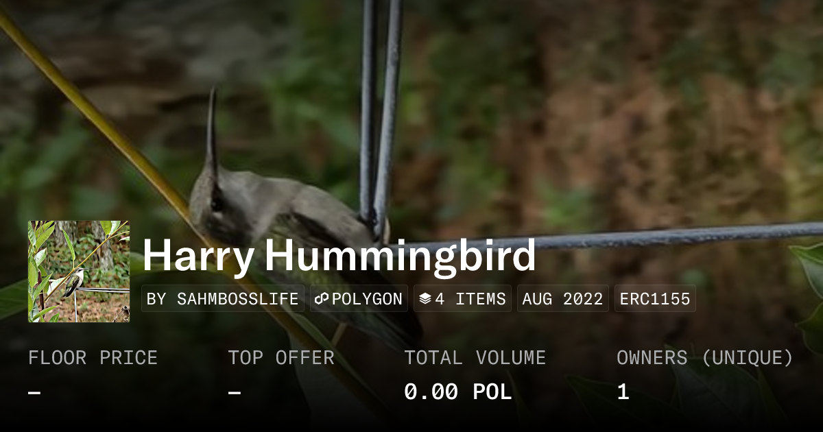 Harry Hummingbird - Collection | OpenSea
