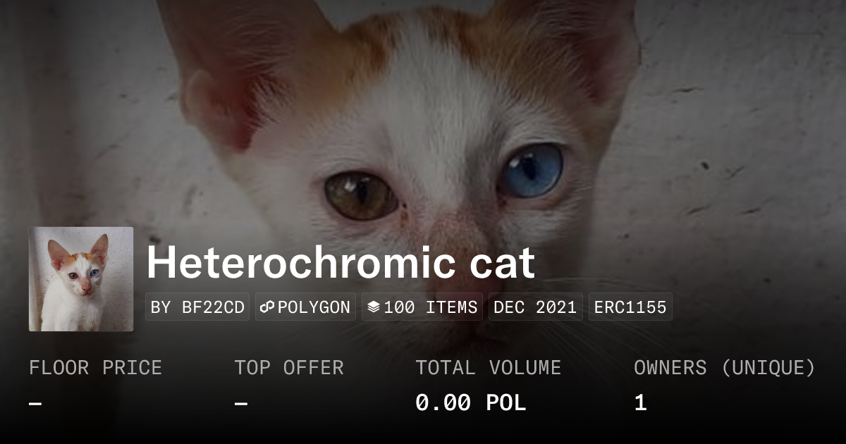 opengraph-image?ts=29203665