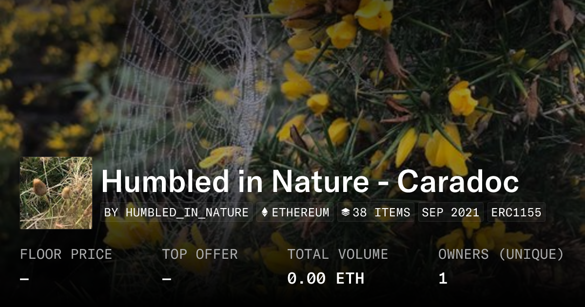 opengraph-image?ts=29197672