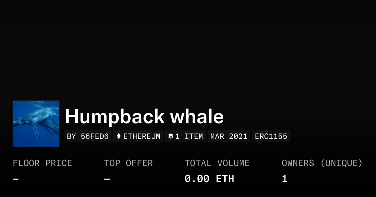 Humpback whale - Collection | OpenSea