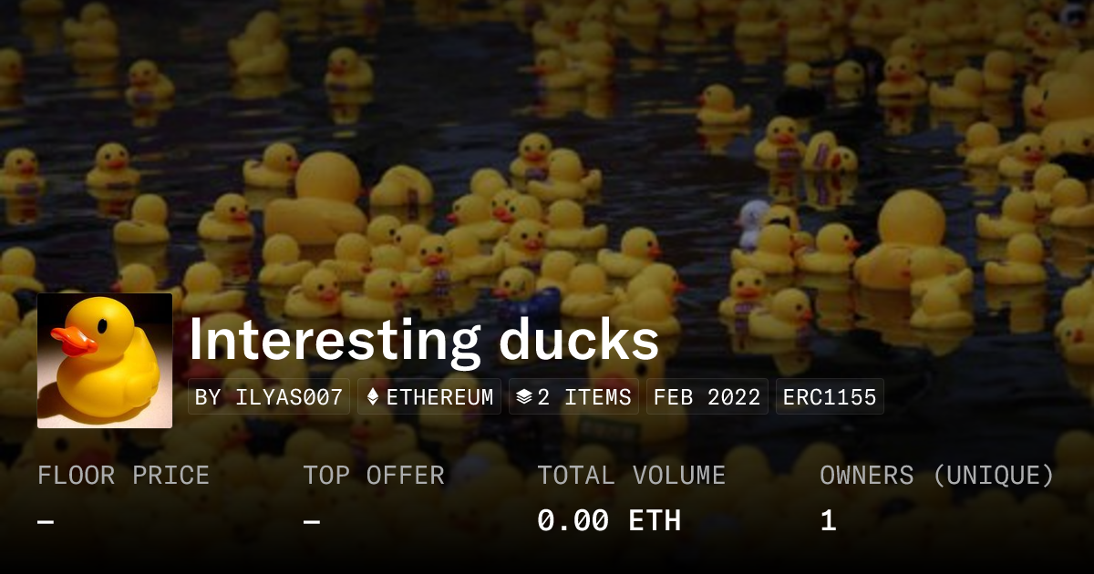 Interesting ducks - Collection | OpenSea
