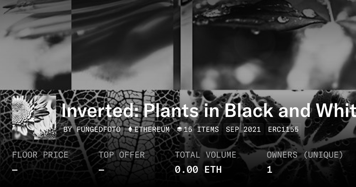 Inverted: Plants in Black and White - Collection | OpenSea