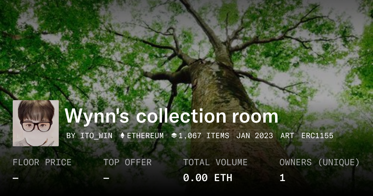 Wynn's collection room - Collection | OpenSea