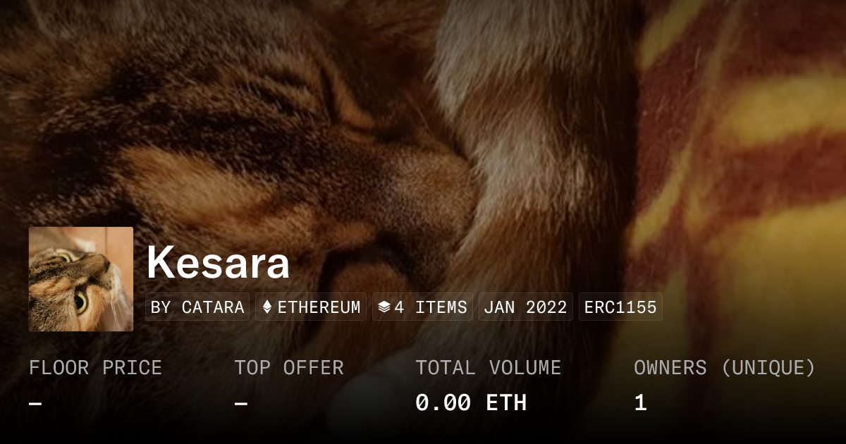 opengraph-image?ts=29169058