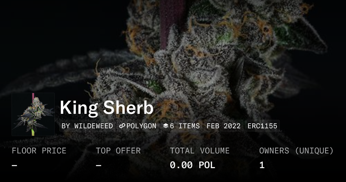 opengraph-image?ts=29168740