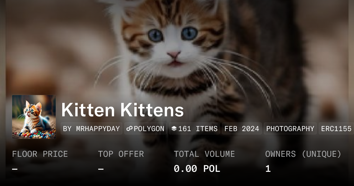 Kitten Kittens - Collection | OpenSea