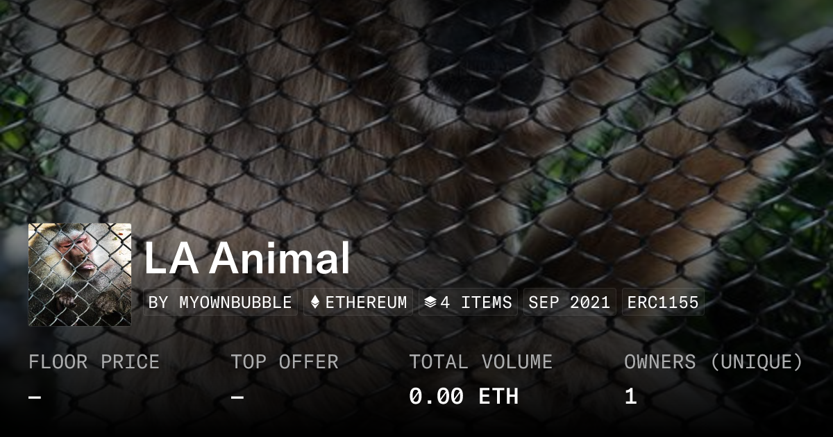 opengraph-image?ts=29198127