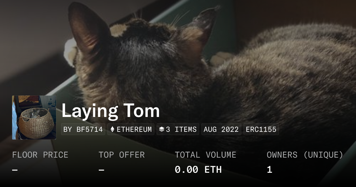 Laying Tom - Collection | OpenSea