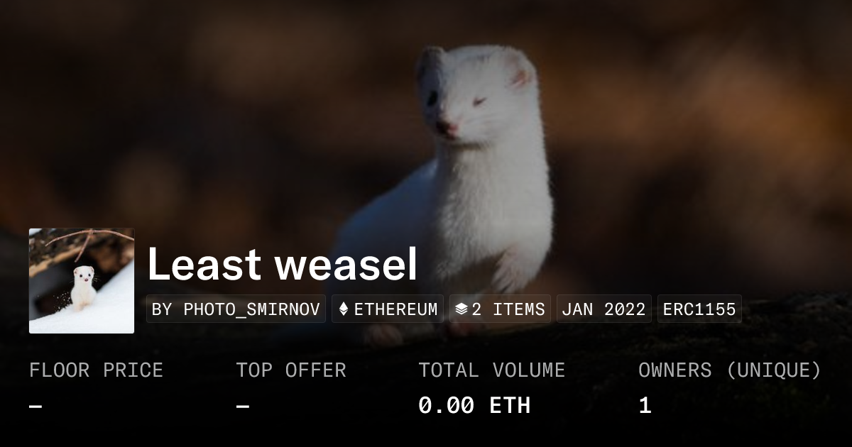 opengraph-image?ts=29206912