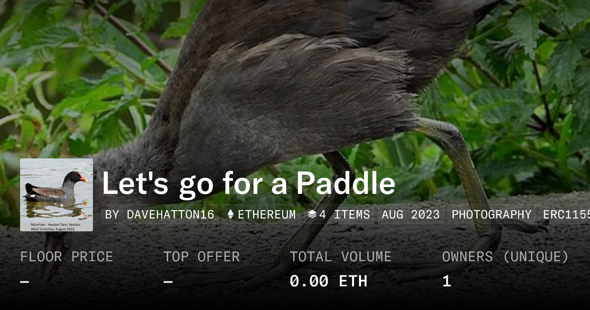 opengraph-image?ts=29204859