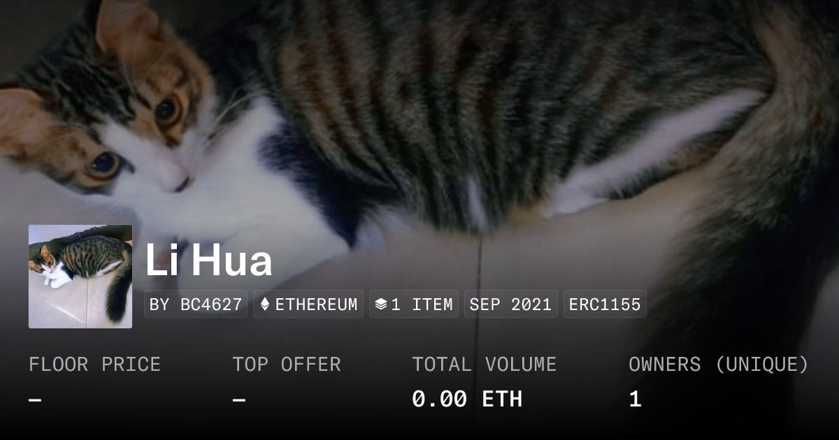 opengraph-image?ts=29198107