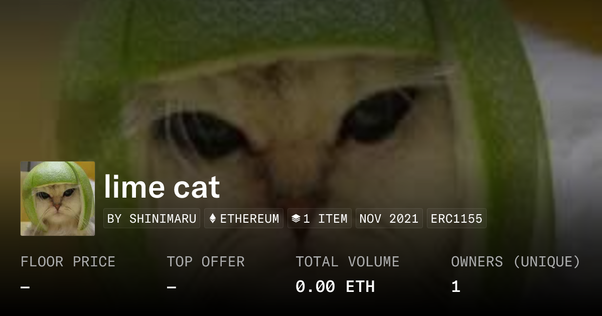 opengraph-image?ts=29196912