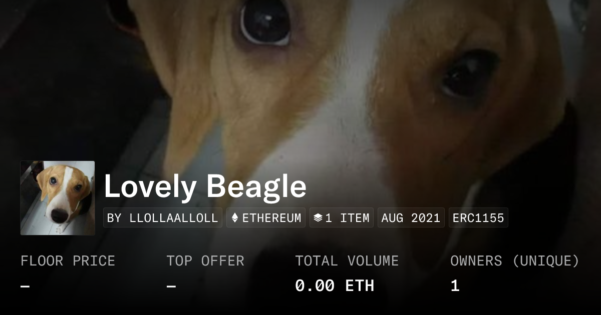 opengraph-image?ts=29197622