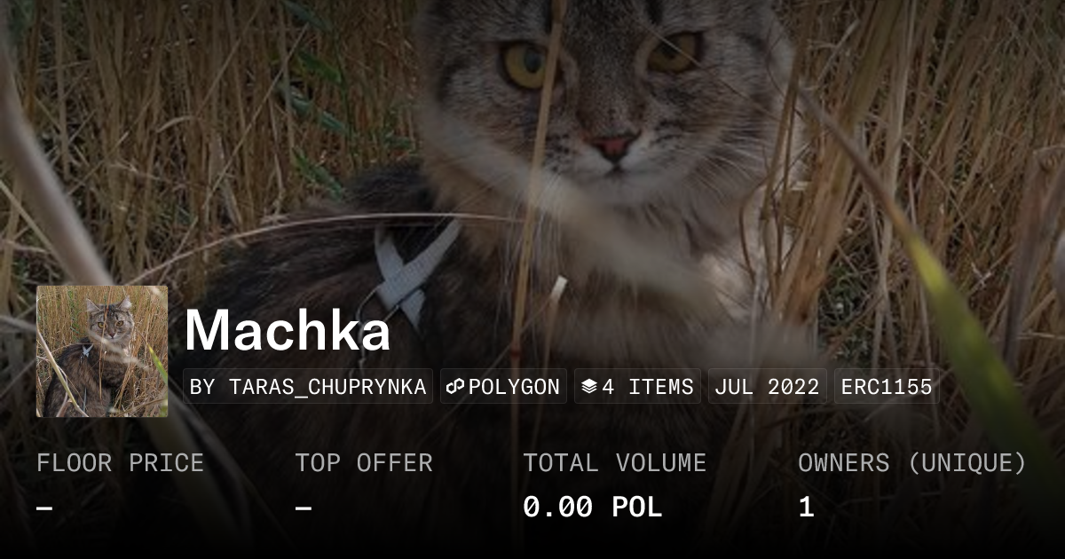 Machka - Collection | OpenSea