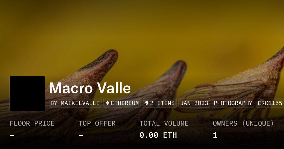 opengraph-image?ts=29191884