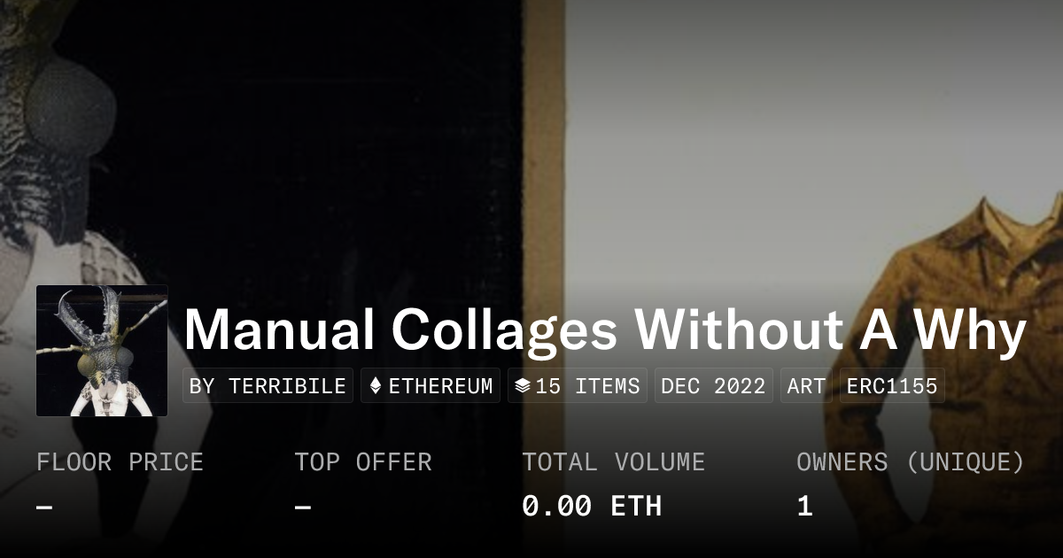 opengraph-image?ts=29192086