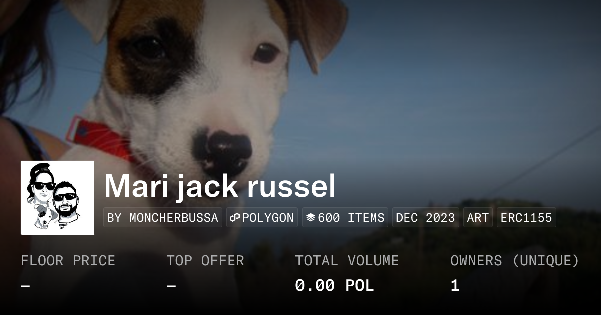 Mari jack russel - Collection | OpenSea