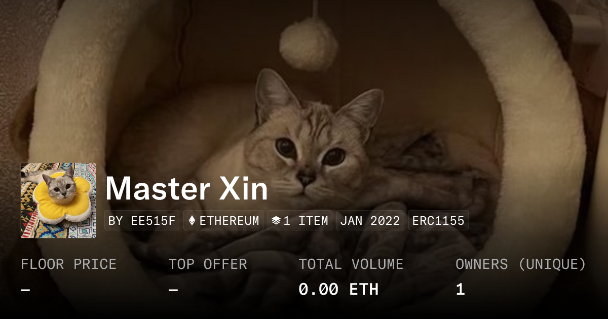Master Xin - Collection | OpenSea