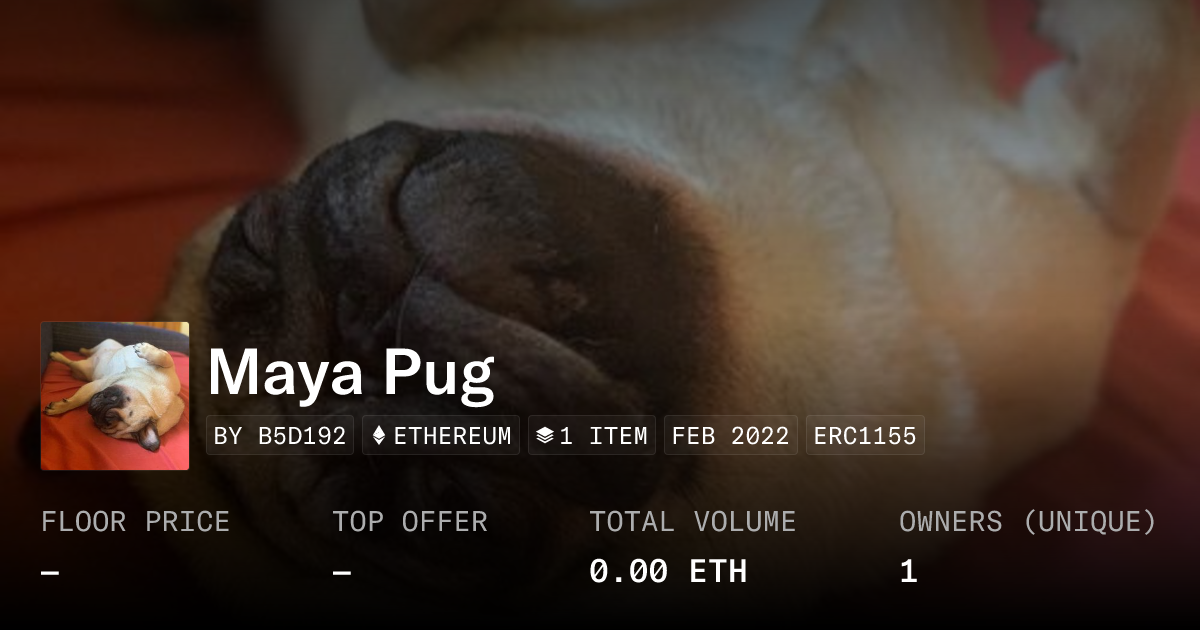 Maya Pug - Collection | OpenSea