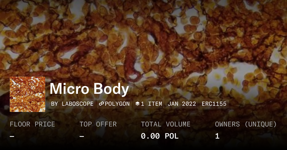 Micro Body - Collection | OpenSea