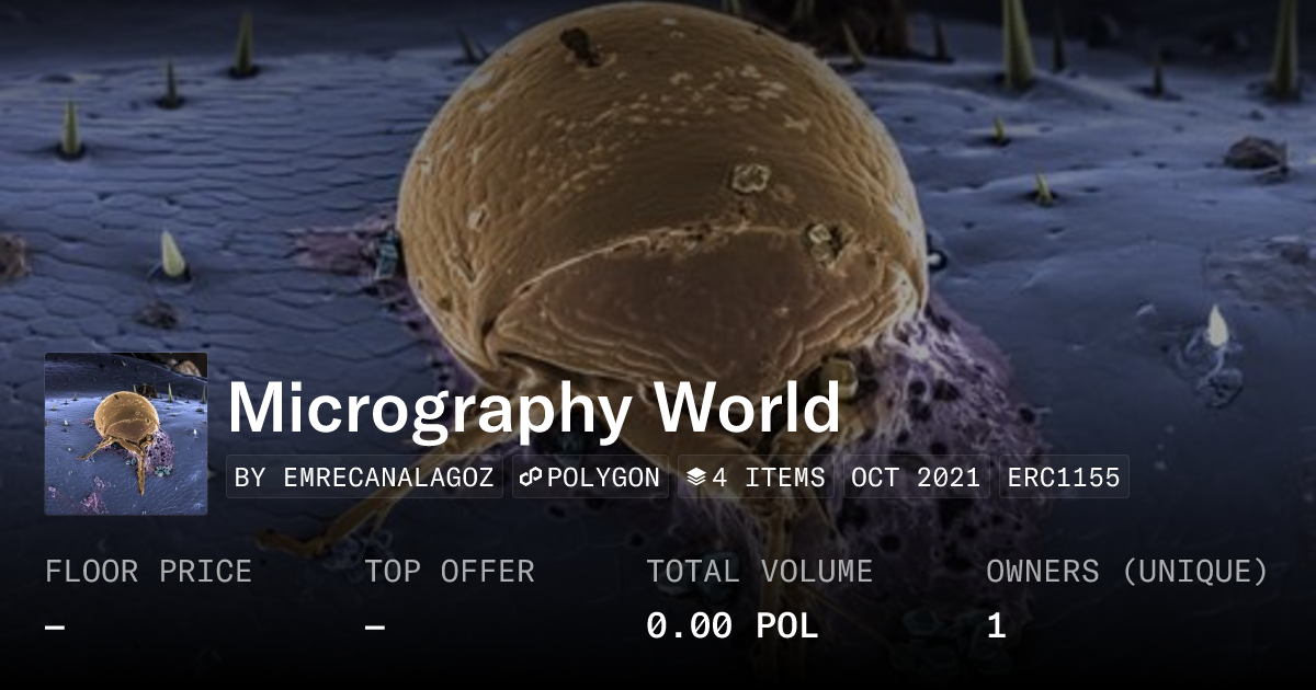 opengraph-image?ts=29208802