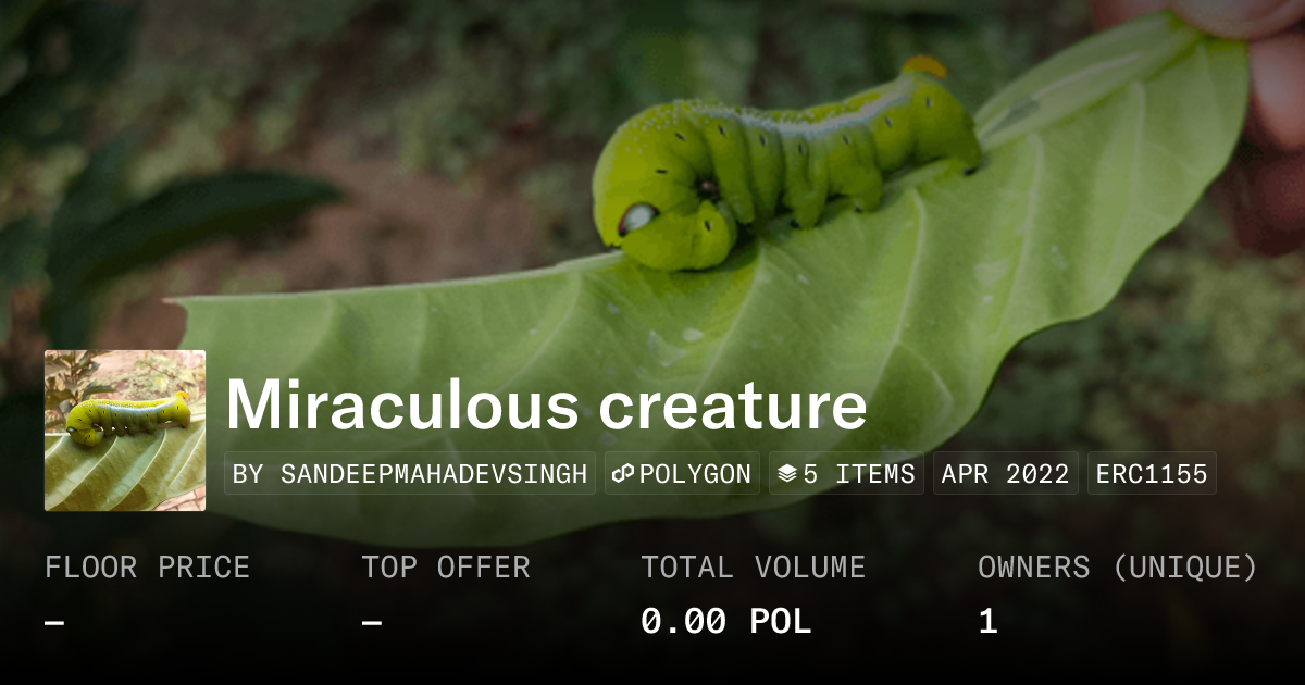 Miraculous creature - Collection | OpenSea