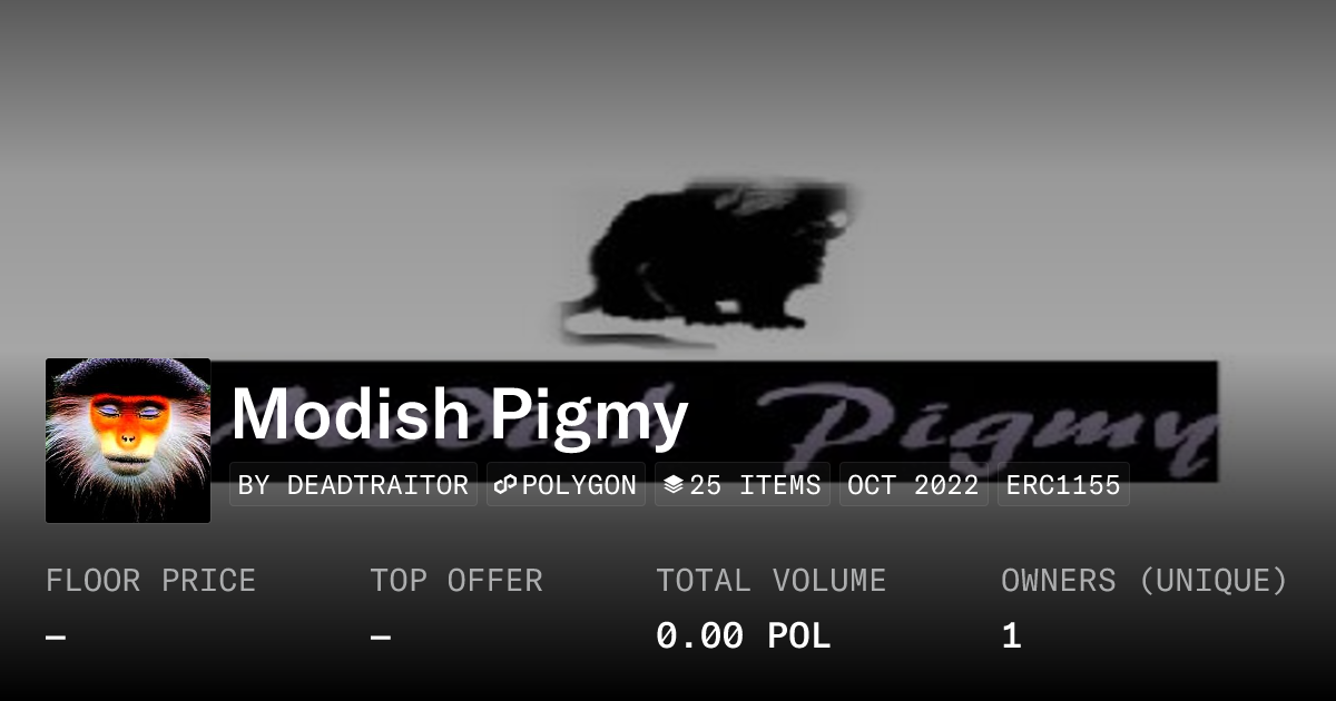Modish Pigmy - Collection | OpenSea