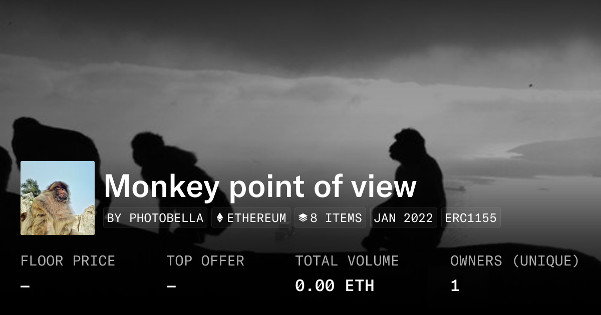 Monkey point of view - Collection | OpenSea