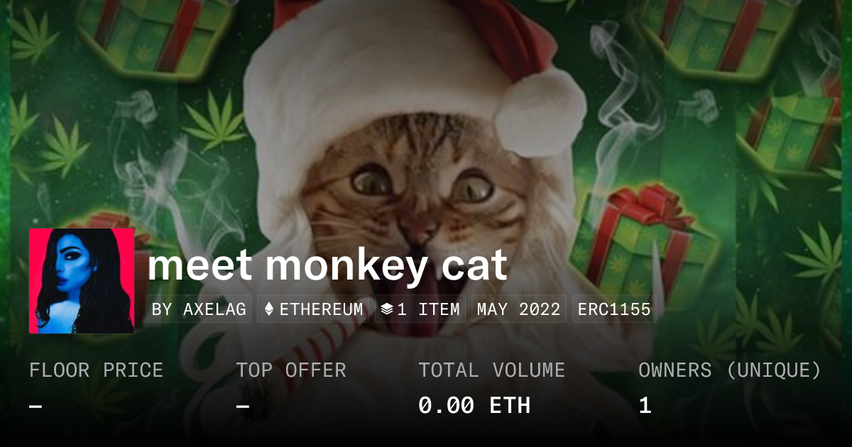 meet monkey cat - Collection | OpenSea