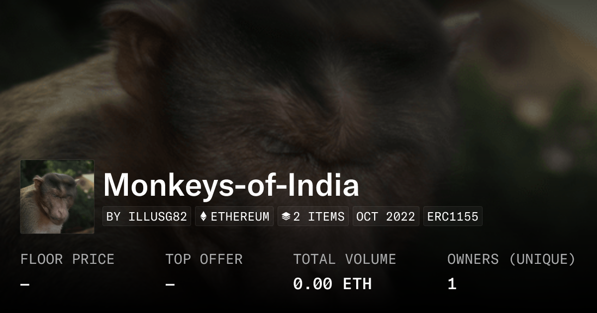 Monkeys-of-India - Collection | OpenSea