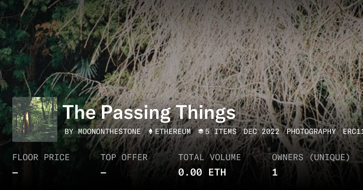 The Passing Things - Collection | OpenSea