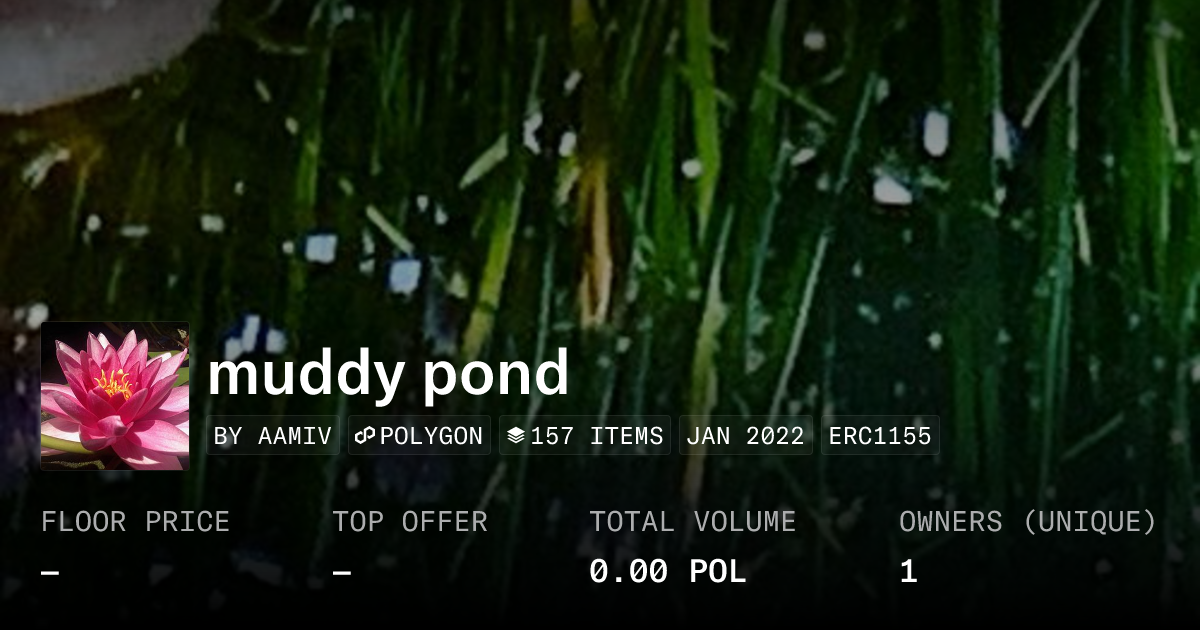 opengraph-image?ts=29203253