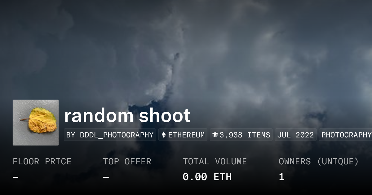 random shoot - Collection | OpenSea